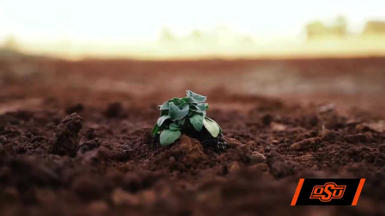 Works – Andrew Bay